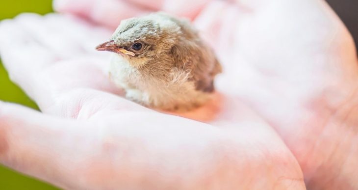 Всесвітній день доброти (2024) - DAY TODAY